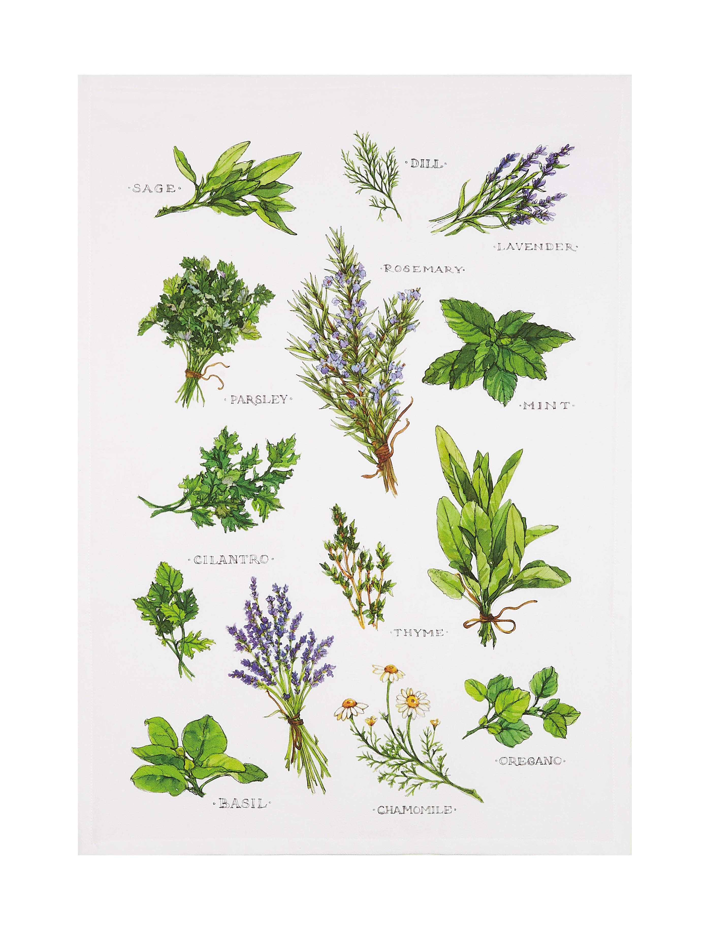 Field Guide to Herbs Tea Towel – Allport Editions