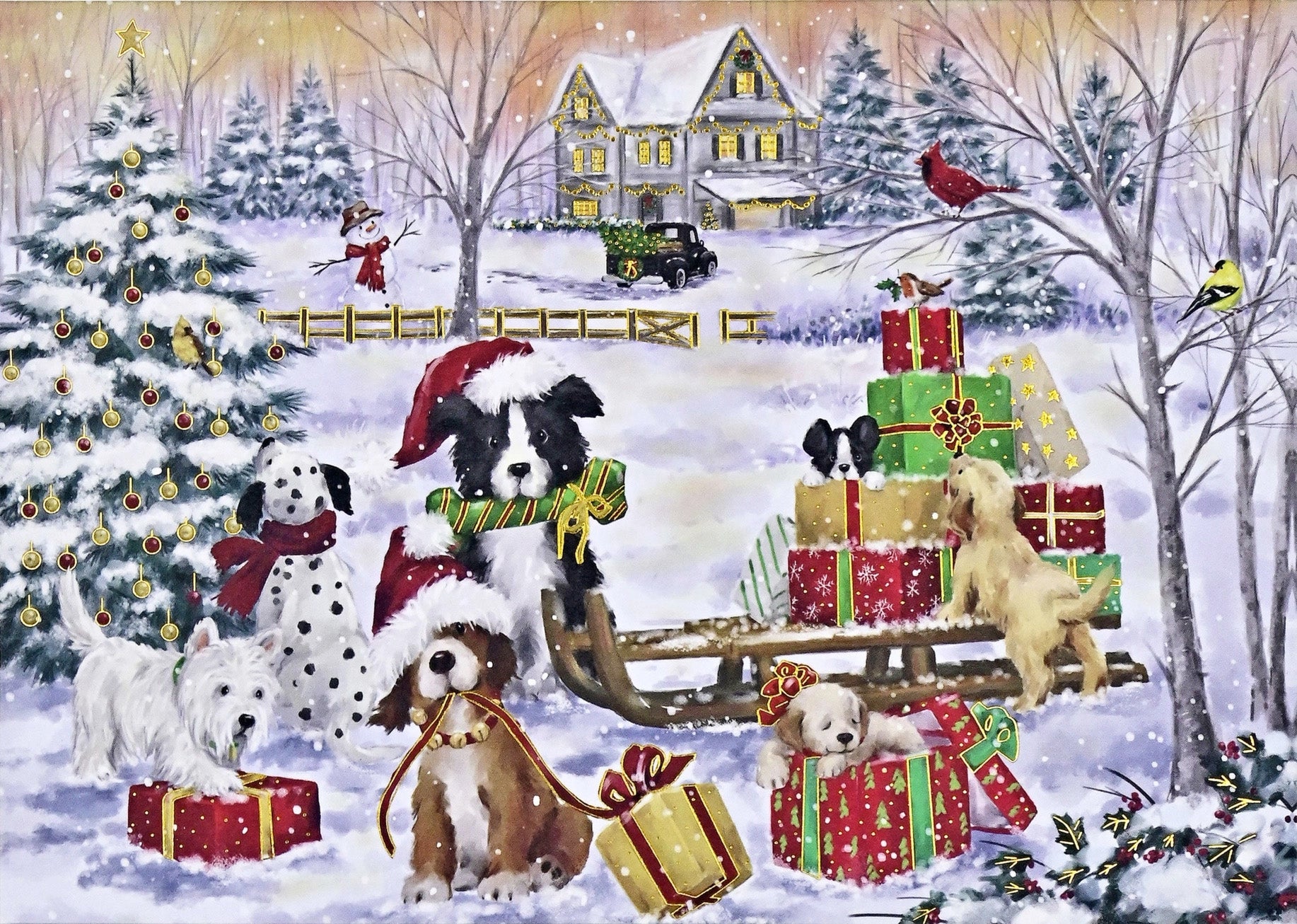 Furry Festivities Deluxe Boxed Holiday Cards – Allport Editions