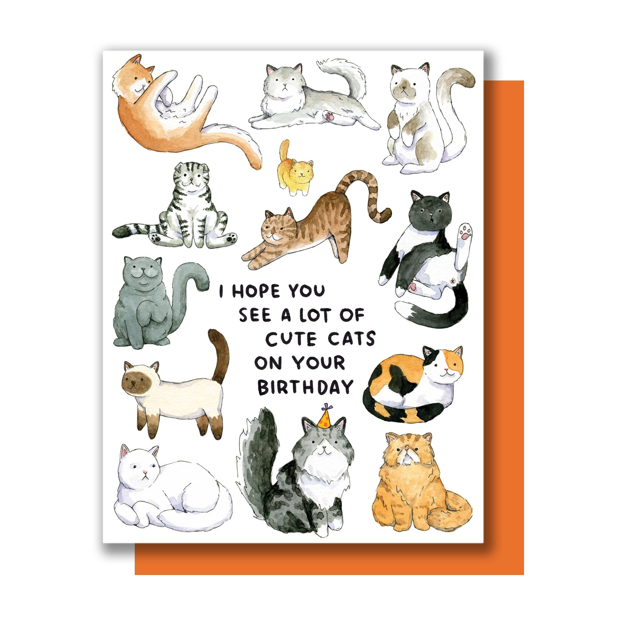 Lots of Cute Cats Birthday Card – Allport Editions